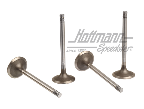 Intake valves, 41mm, Bus T2, 1.8 | 022109601 | 092-0400